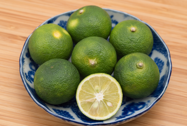Tokushima Food Guide | 7 Must-Try Famous Foods In Tokushima Prefecture ...